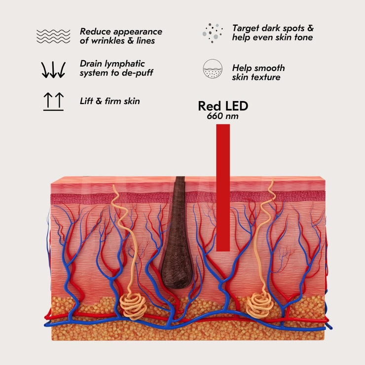 The Vitality Qi LED Gua Sha Device with Protective Pouch – Mount Lai